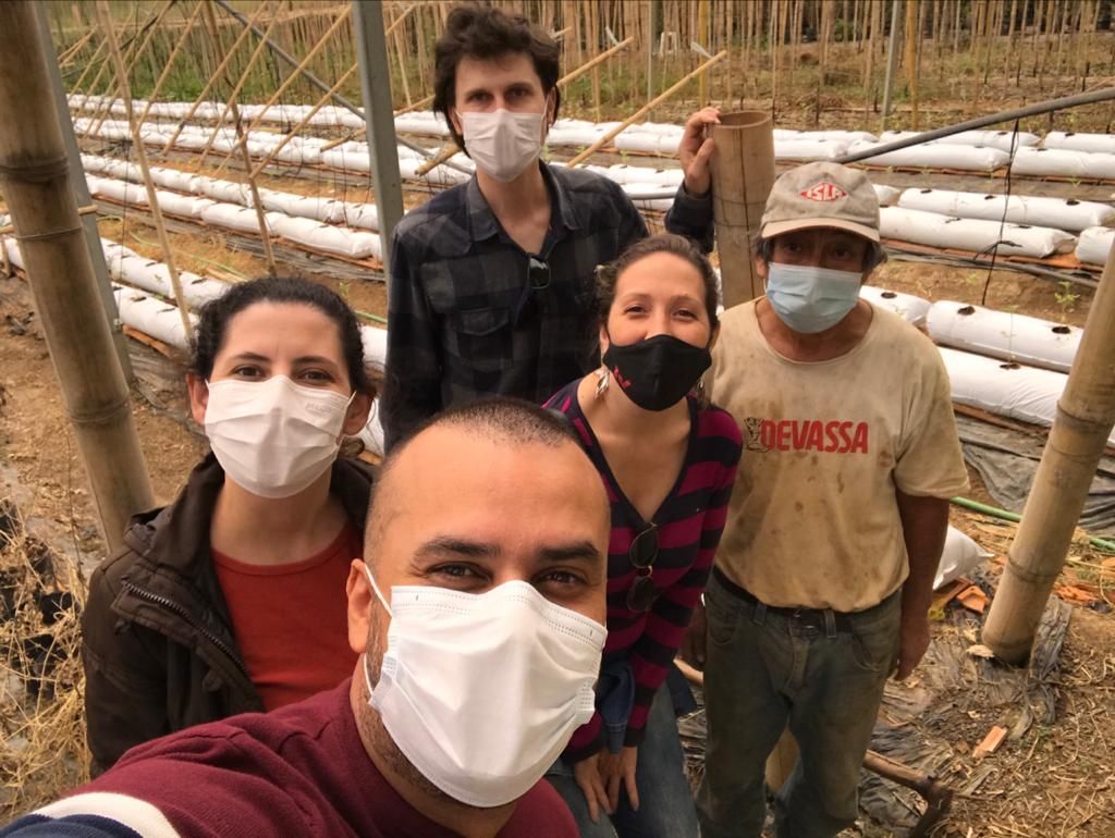 Santa Food: agfoodtech democratiza a alimentação saudável e fortalece o ...